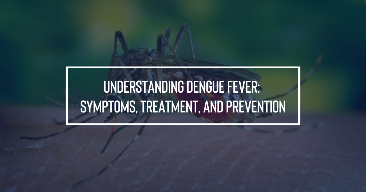 Dengue Fever: Understanding the Symptoms and Treatment Steps